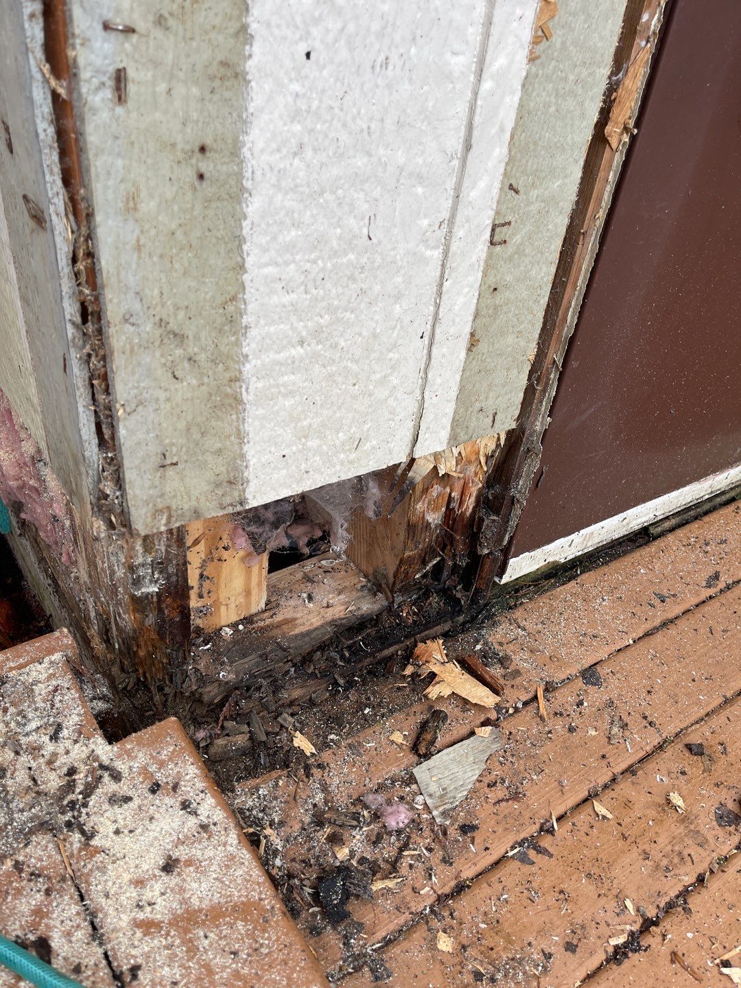 Expert Dry Rot Repair in Seattle - KV Construction