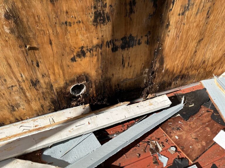 Expert Dry Rot Repair in Seattle - KV Construction